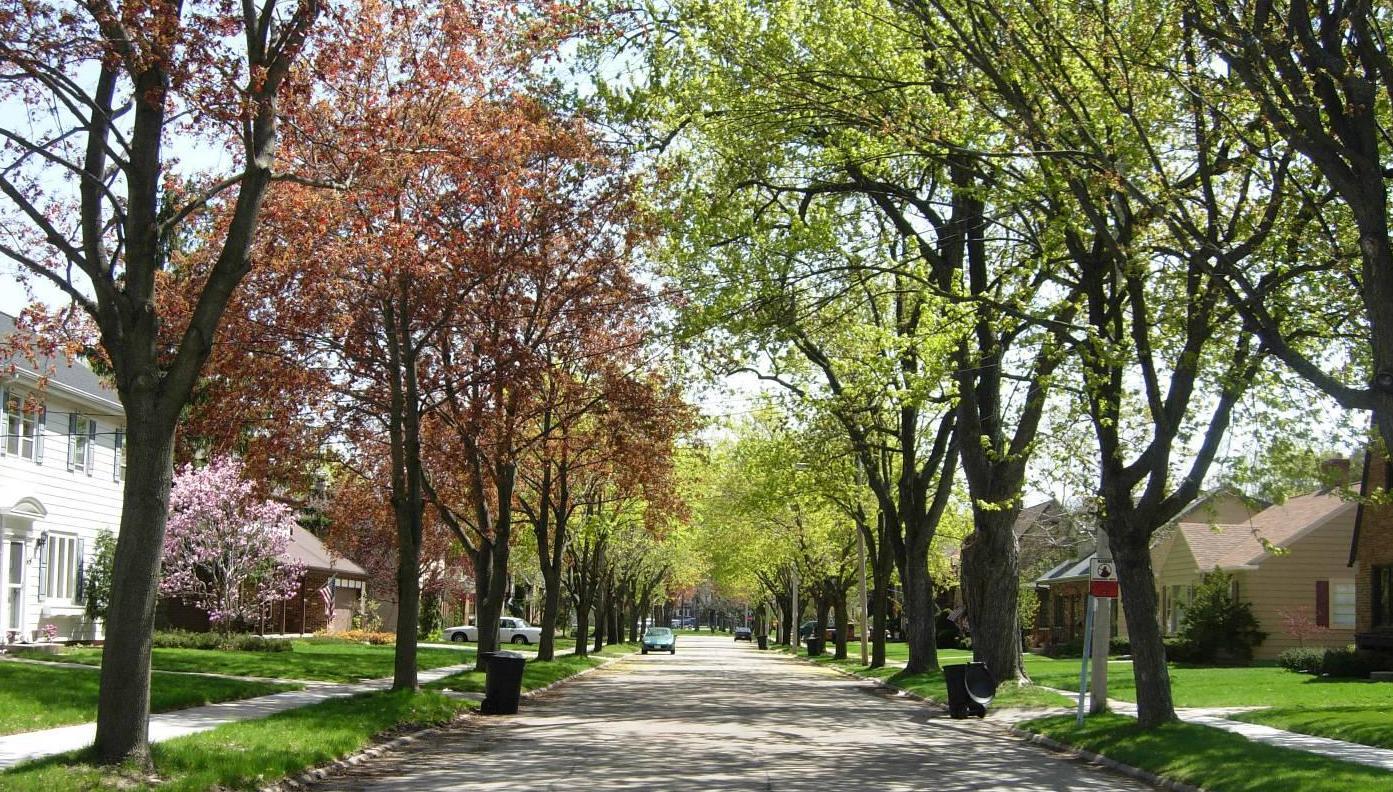 An Inside look at Google Street View Postcards | Louisville Gals Real ...